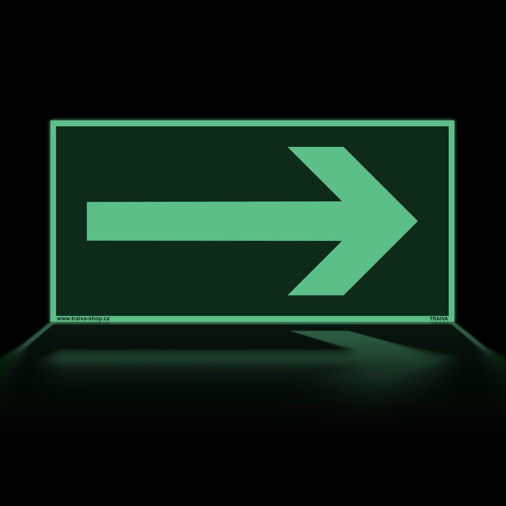 Escape sign arrow | E-safetyshop.eu